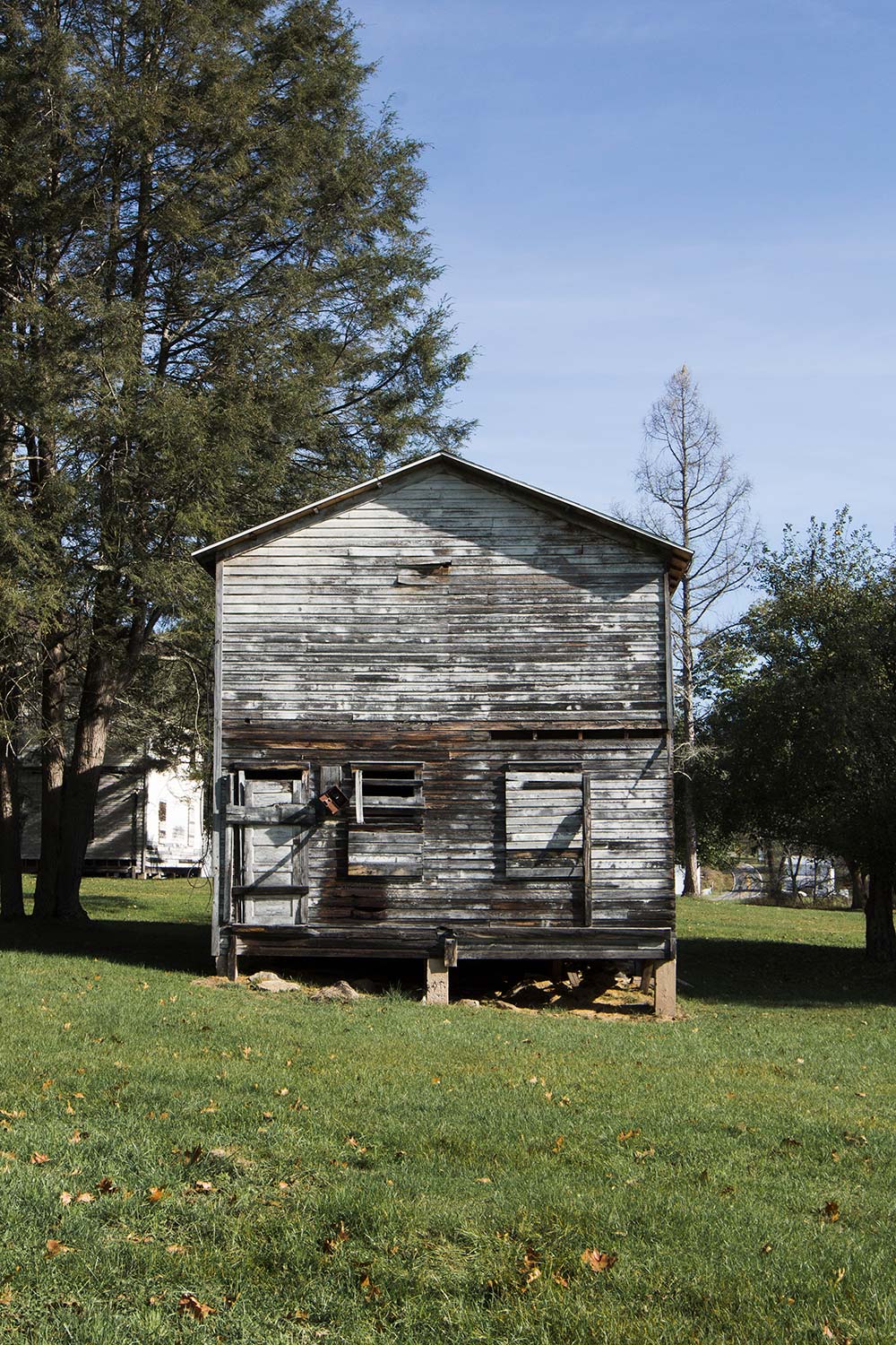 Riley Goodman: From Yonder Wooded Hill – VAST Magazine